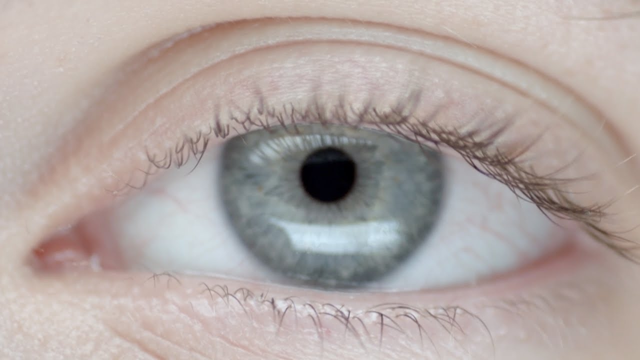 3 Ways We Could Restore Sight To The Blind - YouTube