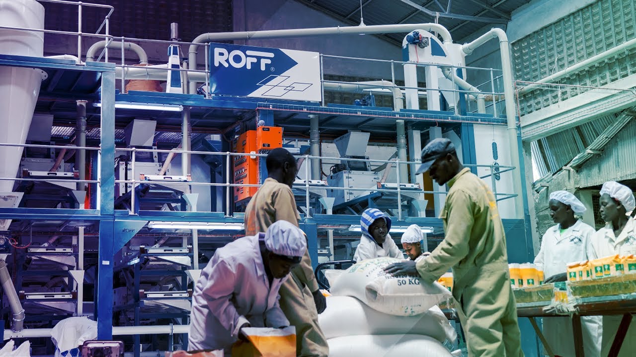 Roff Milling - R-70 2 Ton per hour Maize Mill - YouTube