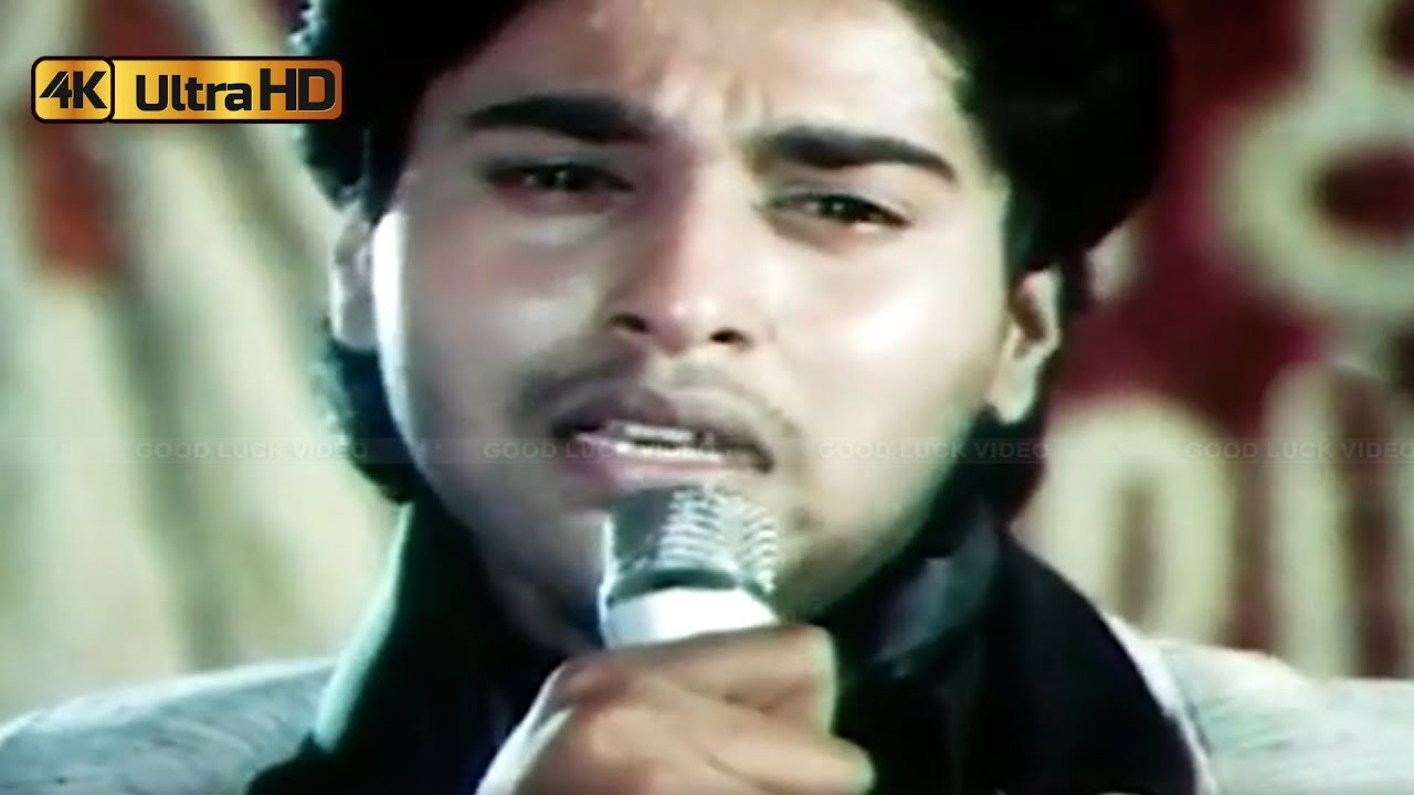 பாடிய அழகு நிலாவே பாடல் | Paadiya azhagu nilaavae Song | S. P ...