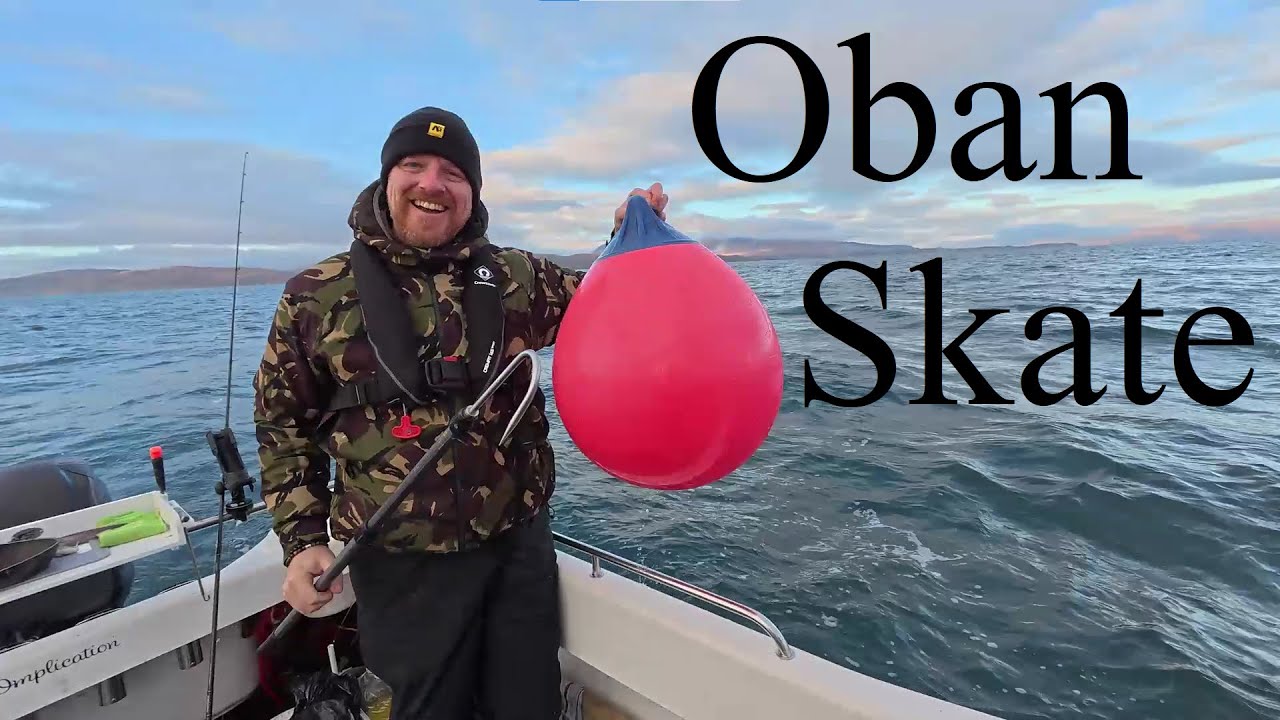 Fishing For Common Skate in Oban, Scotland - Warrior 165 Small Boat Sea ...