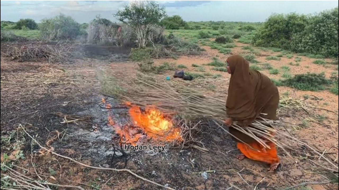 Adiga idawanayo waliga miyi ama badiyo maku arostay Video xasuus leh ...