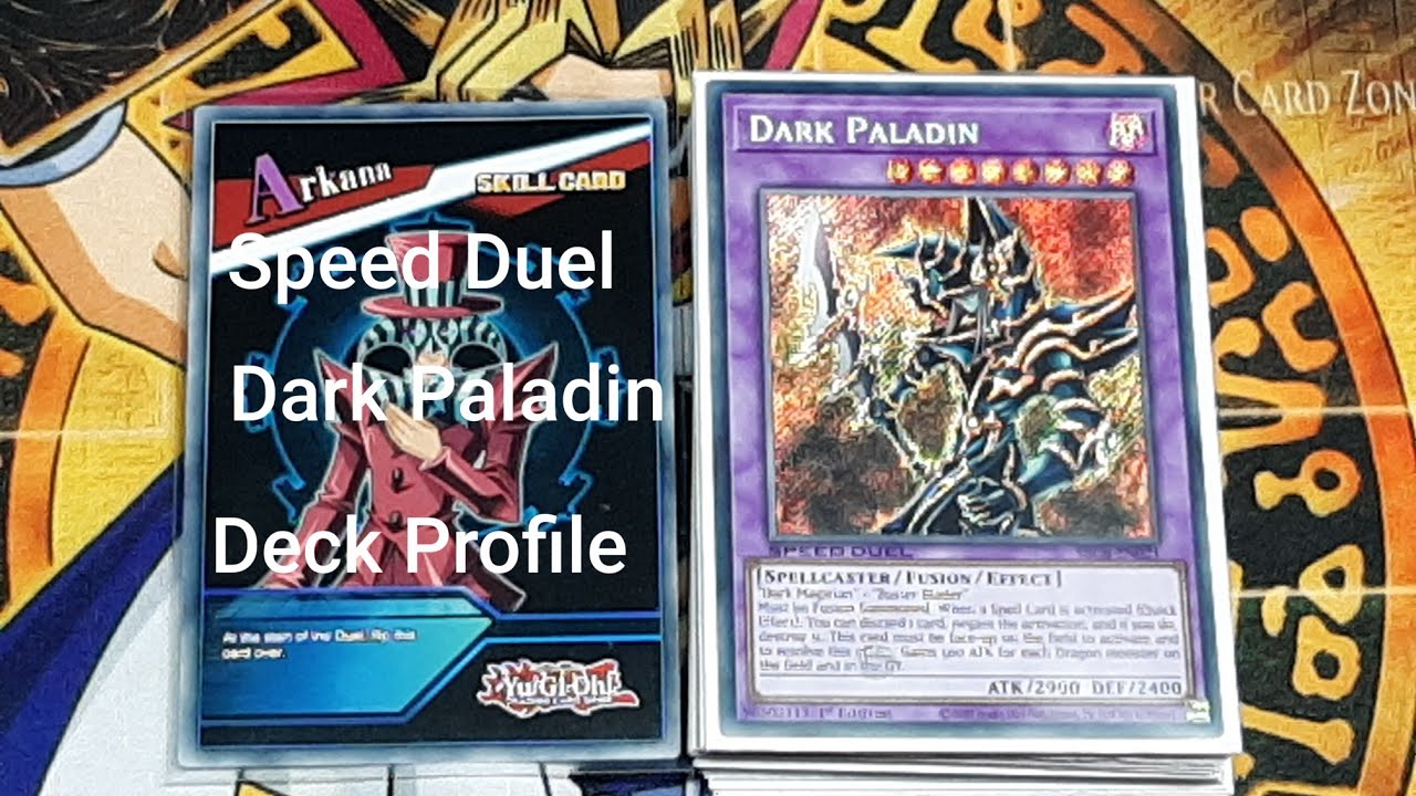 Skilled Dark Paladin