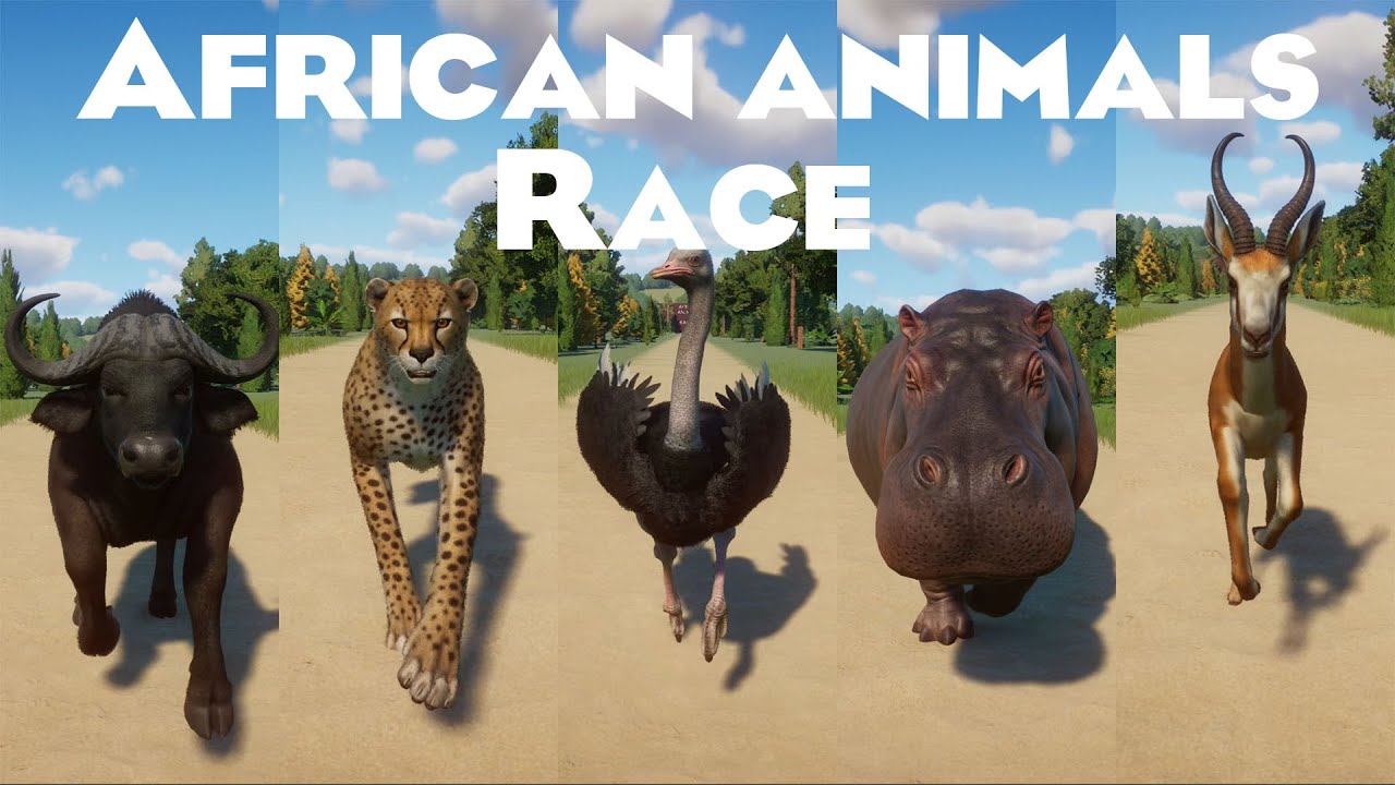 African Animals Speed Races in Planet Zoo included Cheetah, Antelope ...