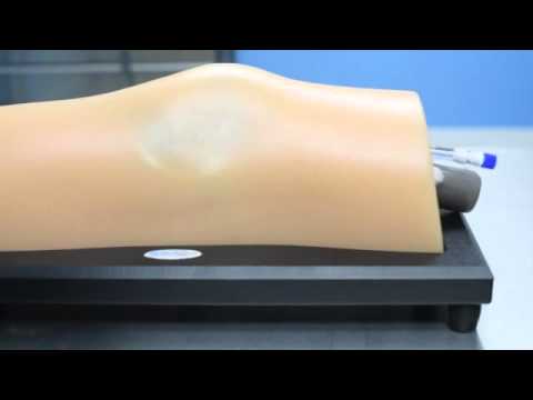 CAE Healthcare: Blue Phantom MSK U/S Knee Injection Simulator - YouTube