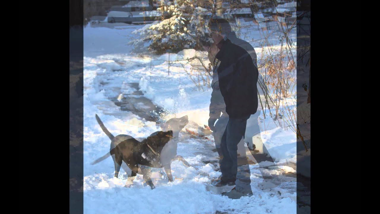 Snow Day ! HD 1080p - YouTube