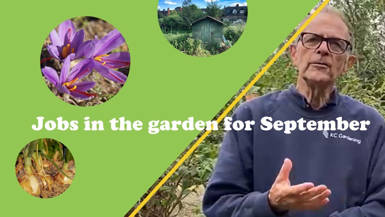 Ken's jobs for the garden during #September #gardening #gardeningtips # ...