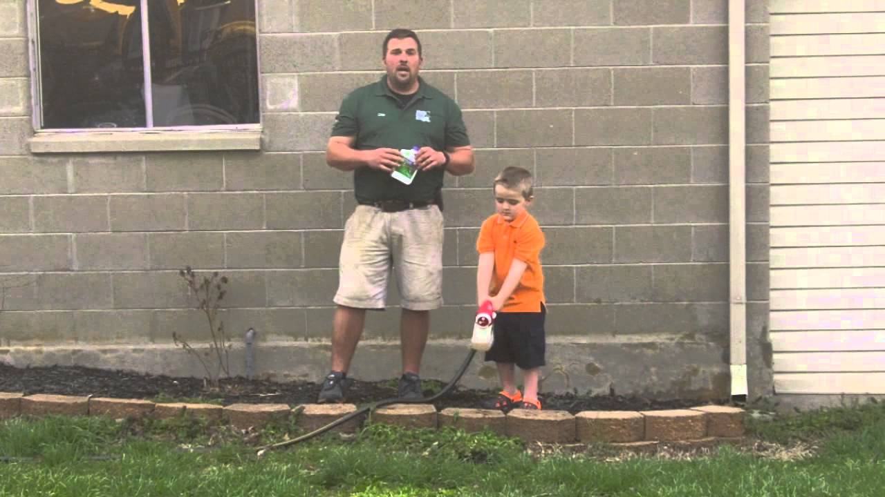 Chickweed and Henbit - YouTube