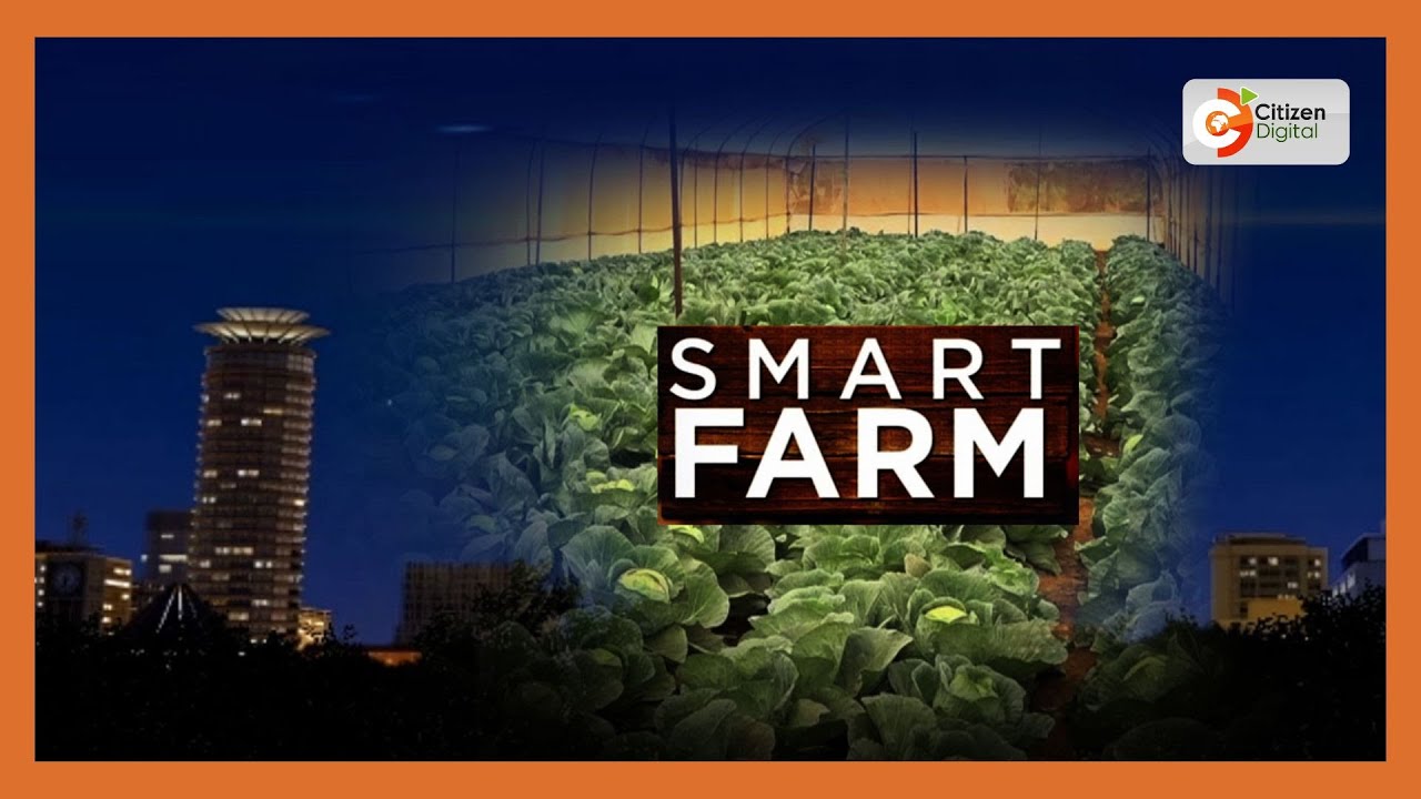 Smart Farm | NYS embarks on expanding farming activities - YouTube