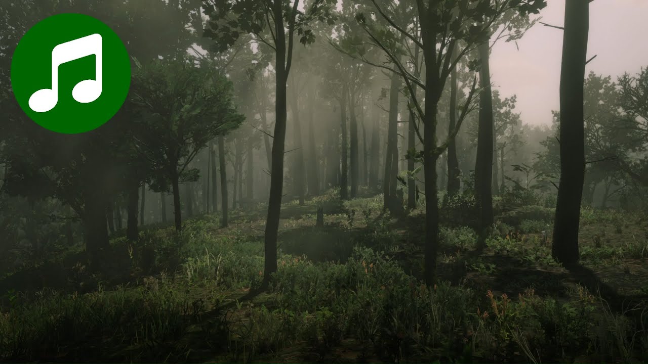 Relaxing RED DEAD REDEMPTION 2 Ambient Music 🎵 Lush Forest (RDR2 ...