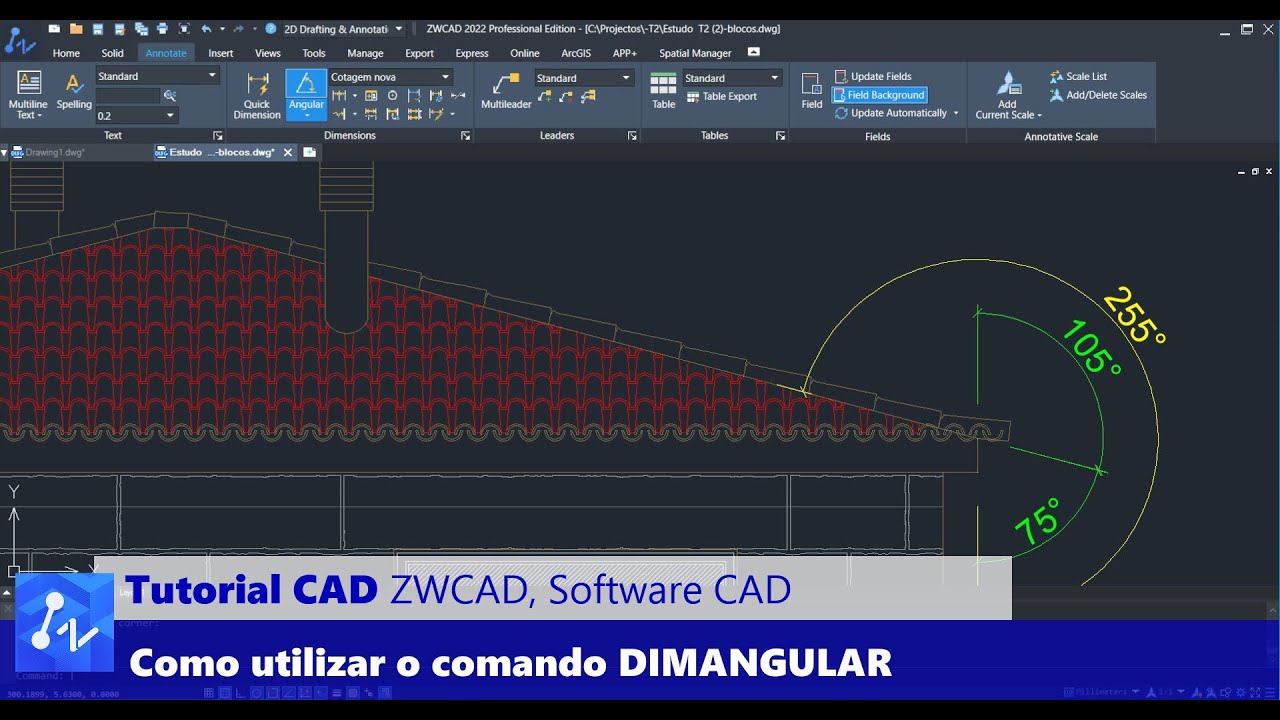 Tutorial CAD: Como Utilizar o Comando DIMANGULAR no ZWCAD - YouTube