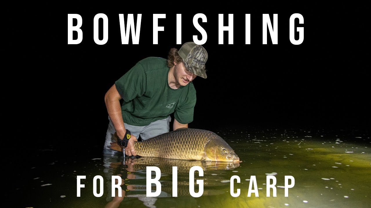 BOWFISHING for BIG Carp in CLEAR WATER - YouTube
