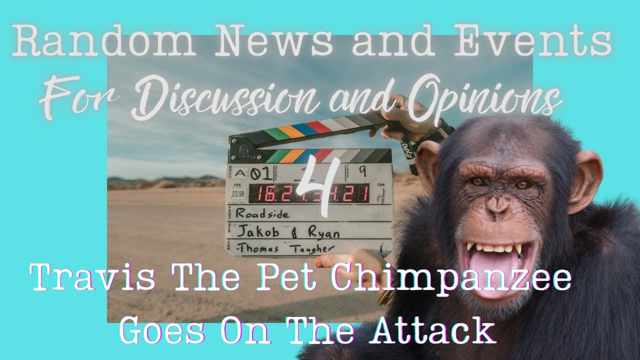 Travis The Chimp Take 2 - YouTube