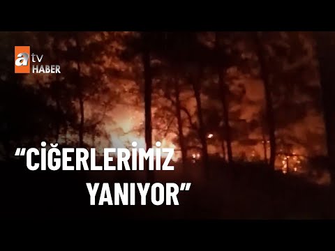 Marmaris’te orman yangını - atv Haber 22 Haziran 2022