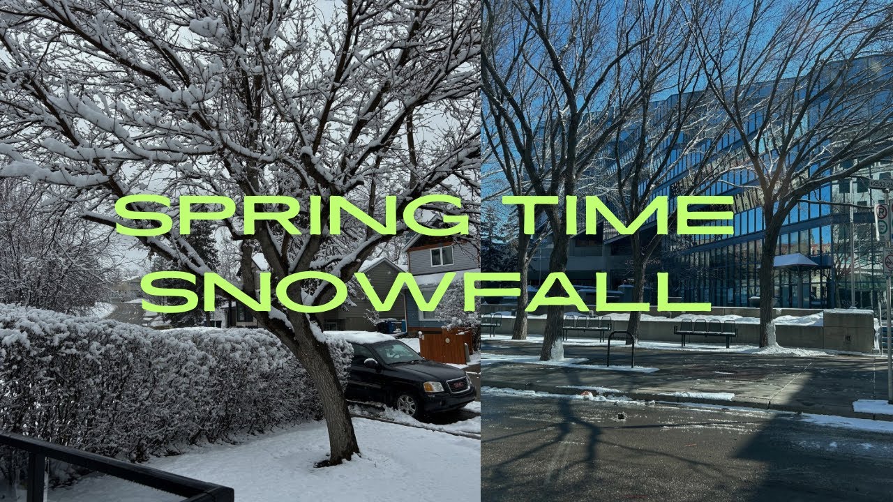 Live 15 : Spring time Snowfall and hopefully this is the last one # ...