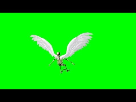 green screen - flying skeleton with moving wings
