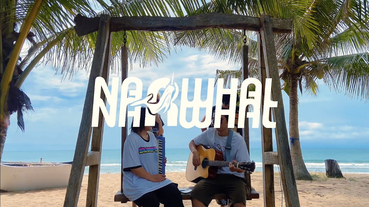Narwhal Narwhal - Live acoustic session (On the beach) 🏝️ - YouTube
