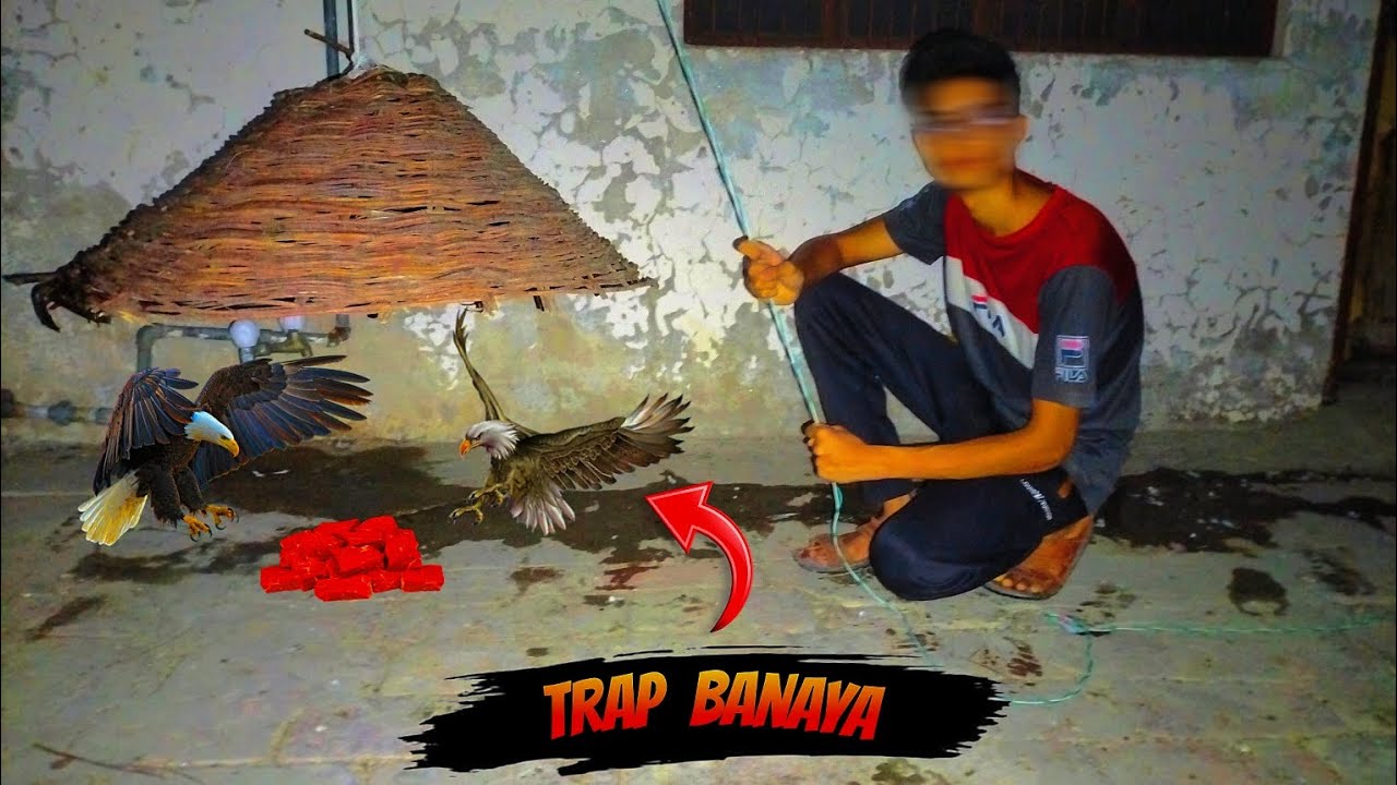 Common Kite K Lea Trap Banaya 🪤😲 || Pets Zone - YouTube