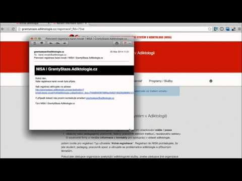 NISA B -- zástupce organizace