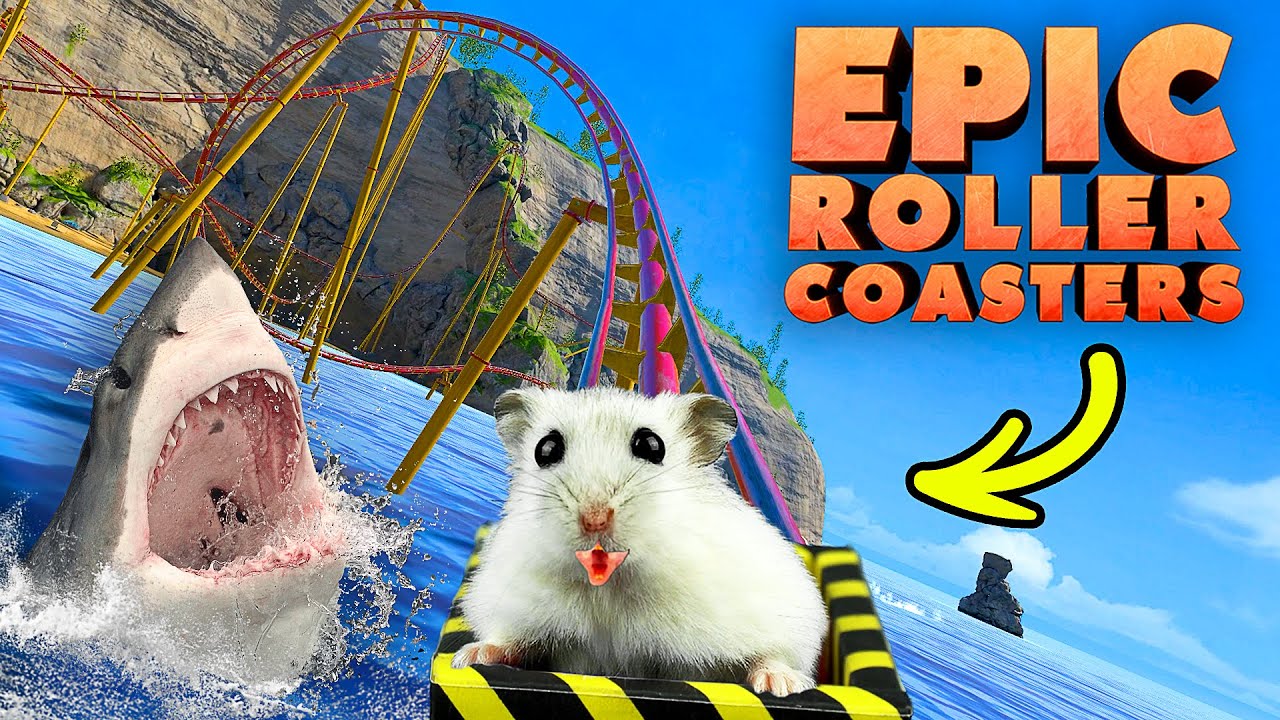Hamster in Roller Coaster in the Ocean Summertime - YouTube