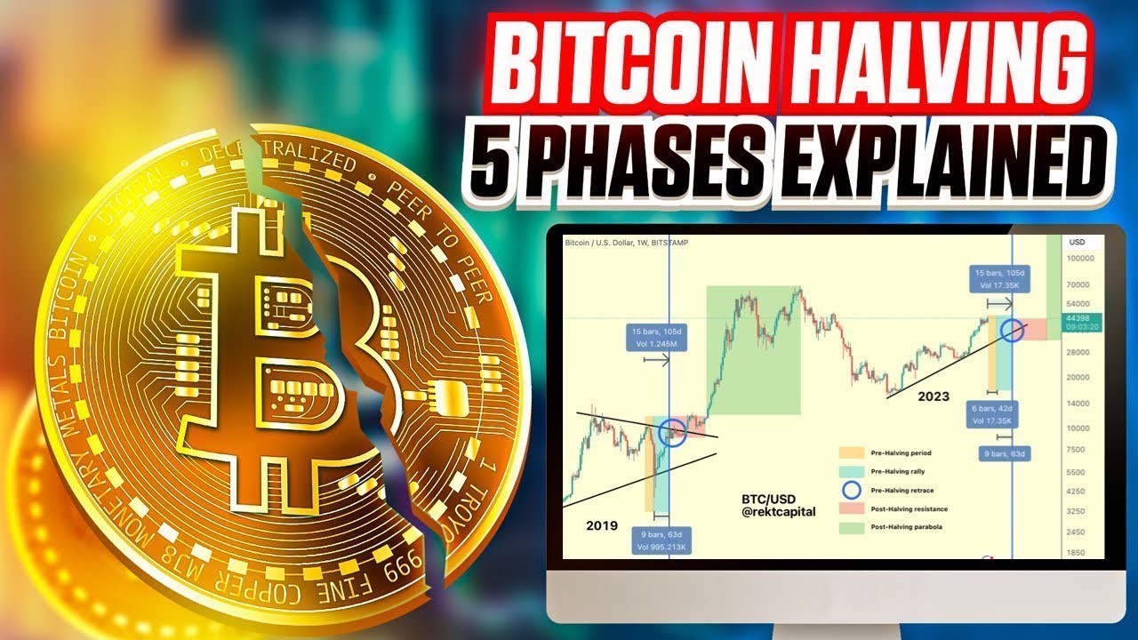 Bitcoin Halving History Chart Analysed - YouTube