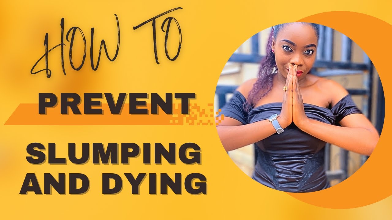 HOW TO PREVENT SLUMPING AND DYING SUDDENLY - YouTube