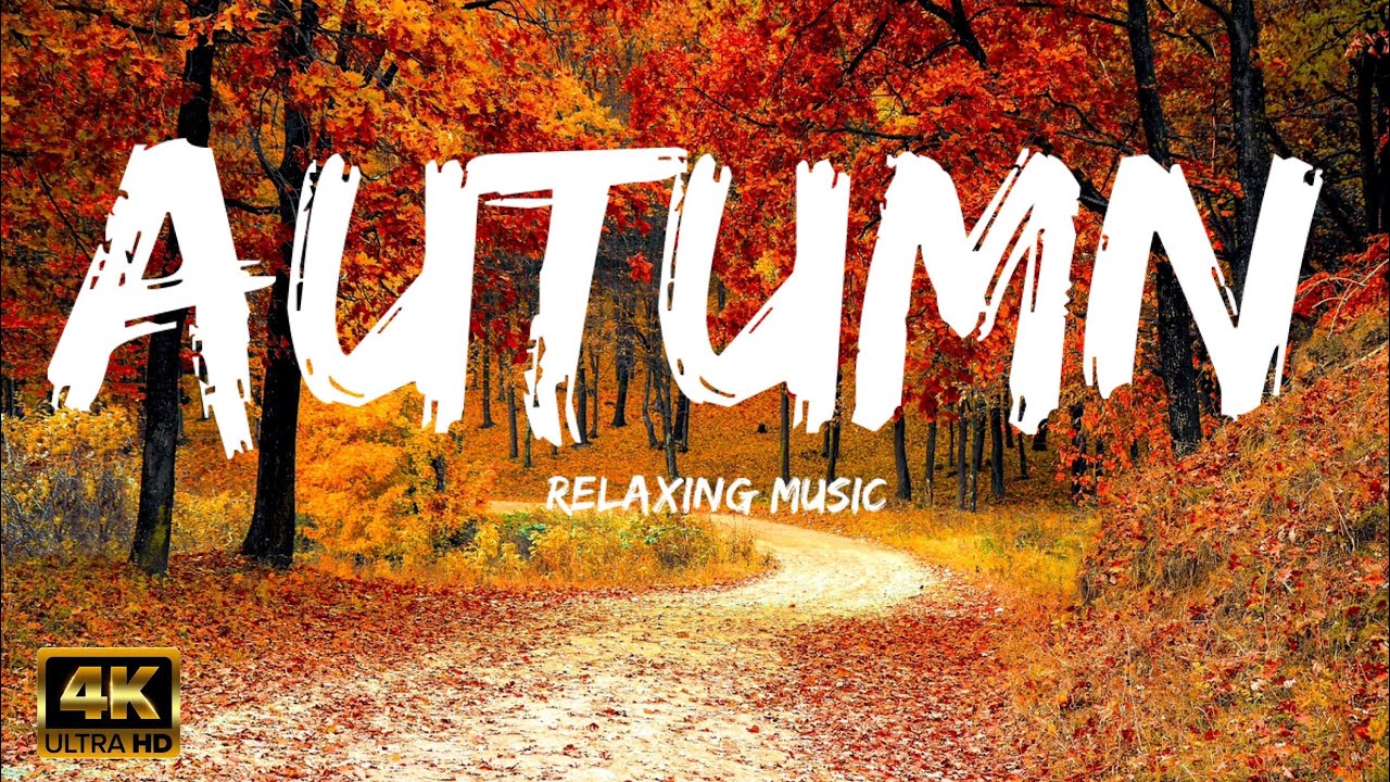 4K Autumn - Relaxing Music - Reduce Anxiety - YouTube