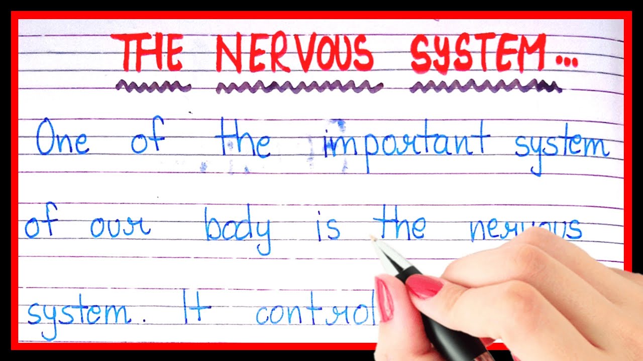 What is nervous system | Definition of nervous system - YouTube