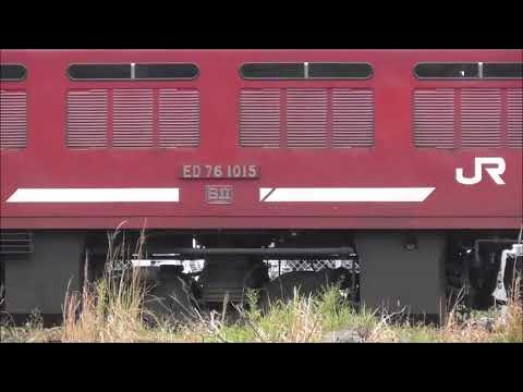 JR貨物 新型機関車！ EF510 303号機、 ED76 1015形 鹿児島貨物ターミナルセンター待機中 撮影日2024 11 15 - YouTube