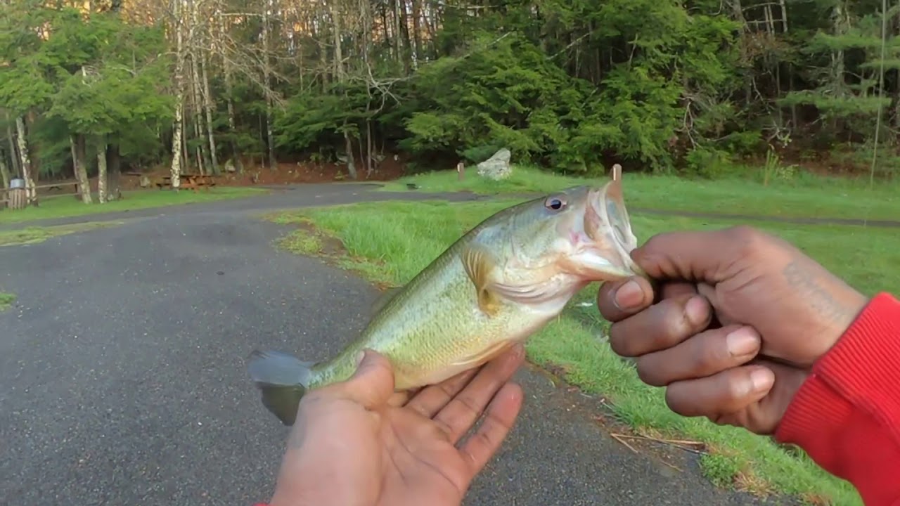 Little Beaver State Park || West Virginia - YouTube