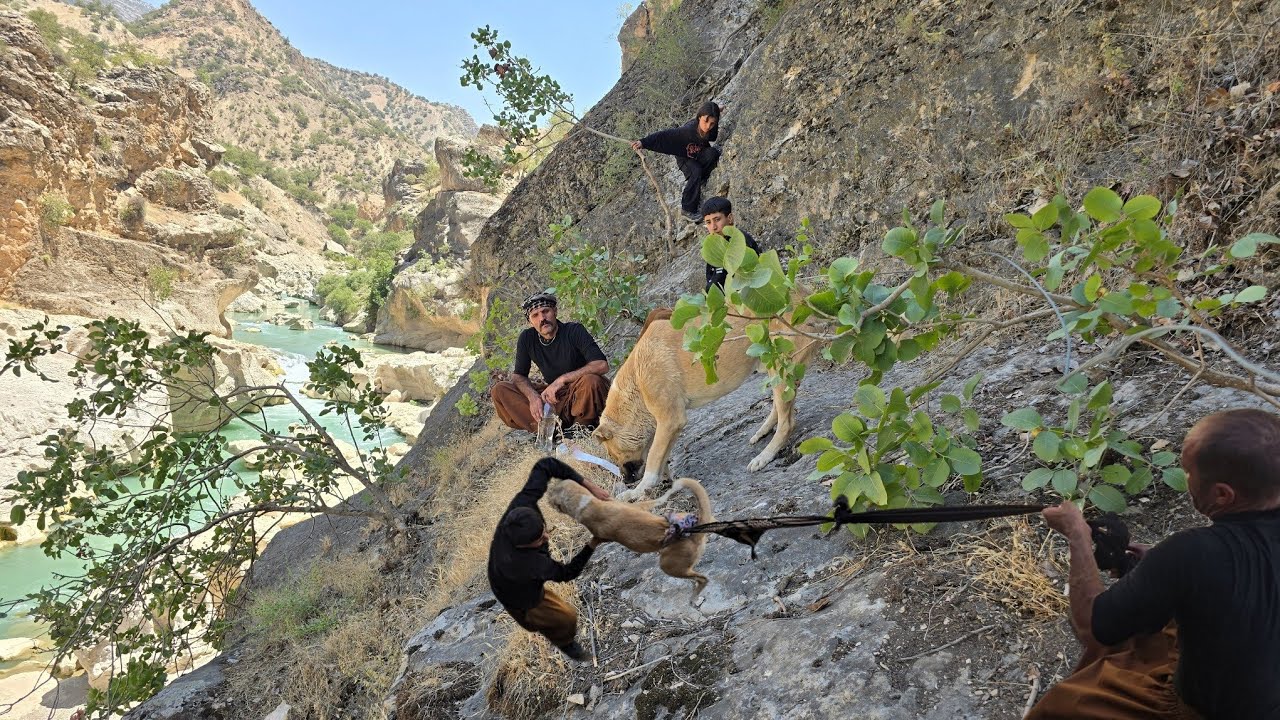 "Rescuing a Dog Trapped on a Deadly Cliff🐕 ⛰ | Risky Mountain Rural ...