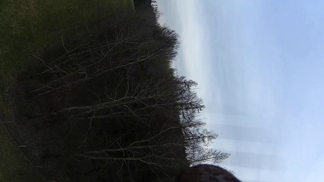 EPP Combat KI 84 průlety mezi stromama - YouTube