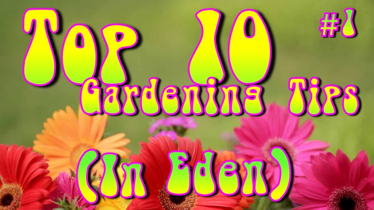 GBC ENID TEACHING - Ten Interesting Facts About the Garden of Eden #1 ...