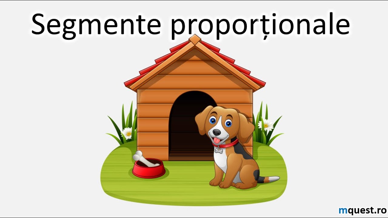Segmente proportionale, clasa a VII-a - YouTube