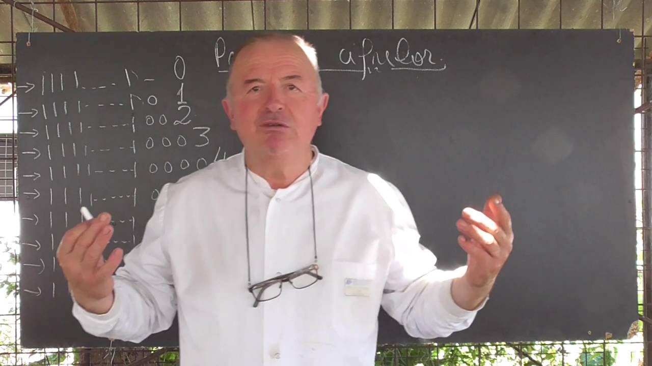 Lectia 1055 - Povestea cifrelor - Lectie de matematica pentru cei mici ...