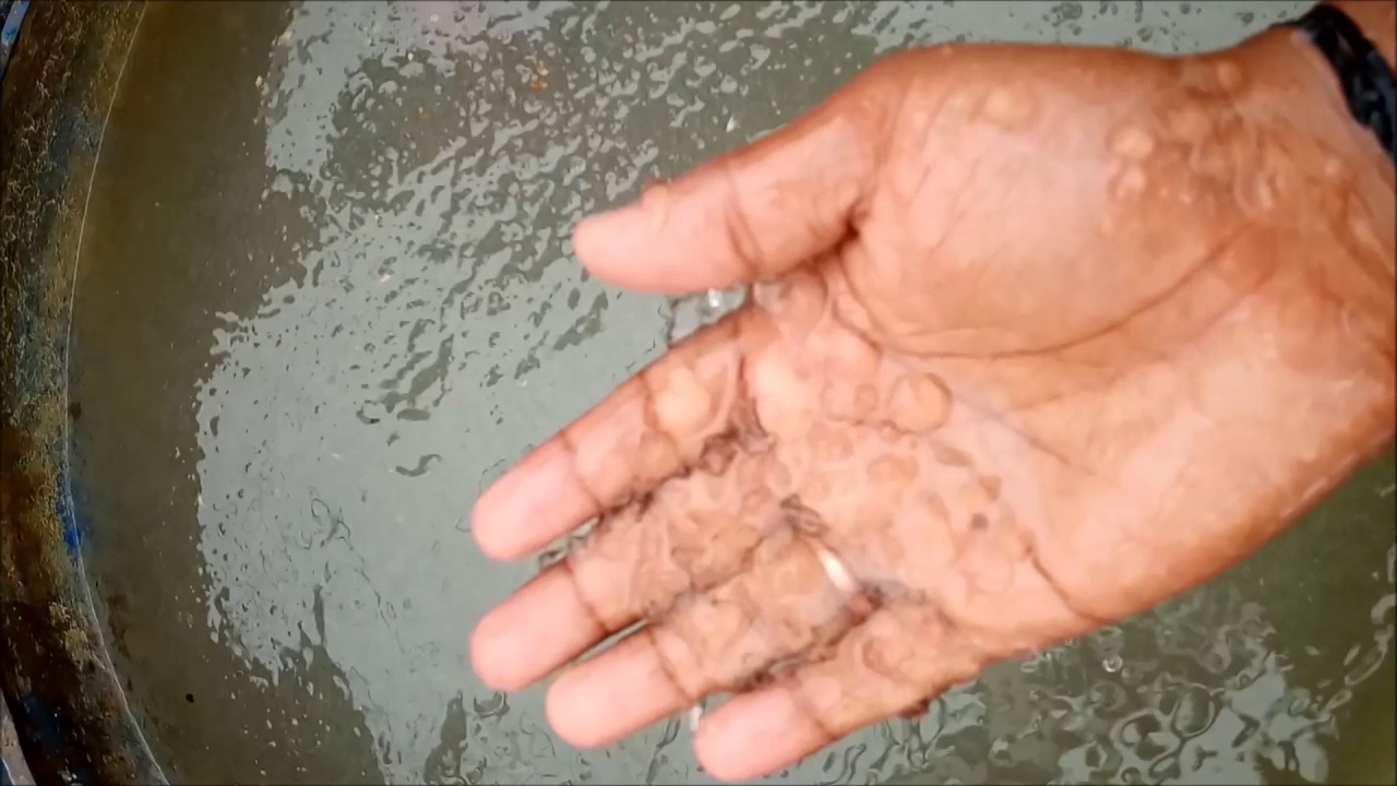 STOCKOSORB 660 (Hydrogel) application for plantation in the poly house ...