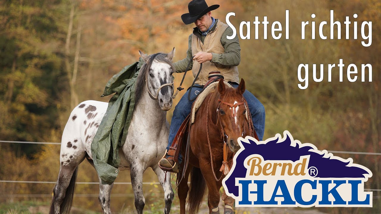 Sattel richtig gurten I Bernd Hackl erklärt! 🐴 - YouTube