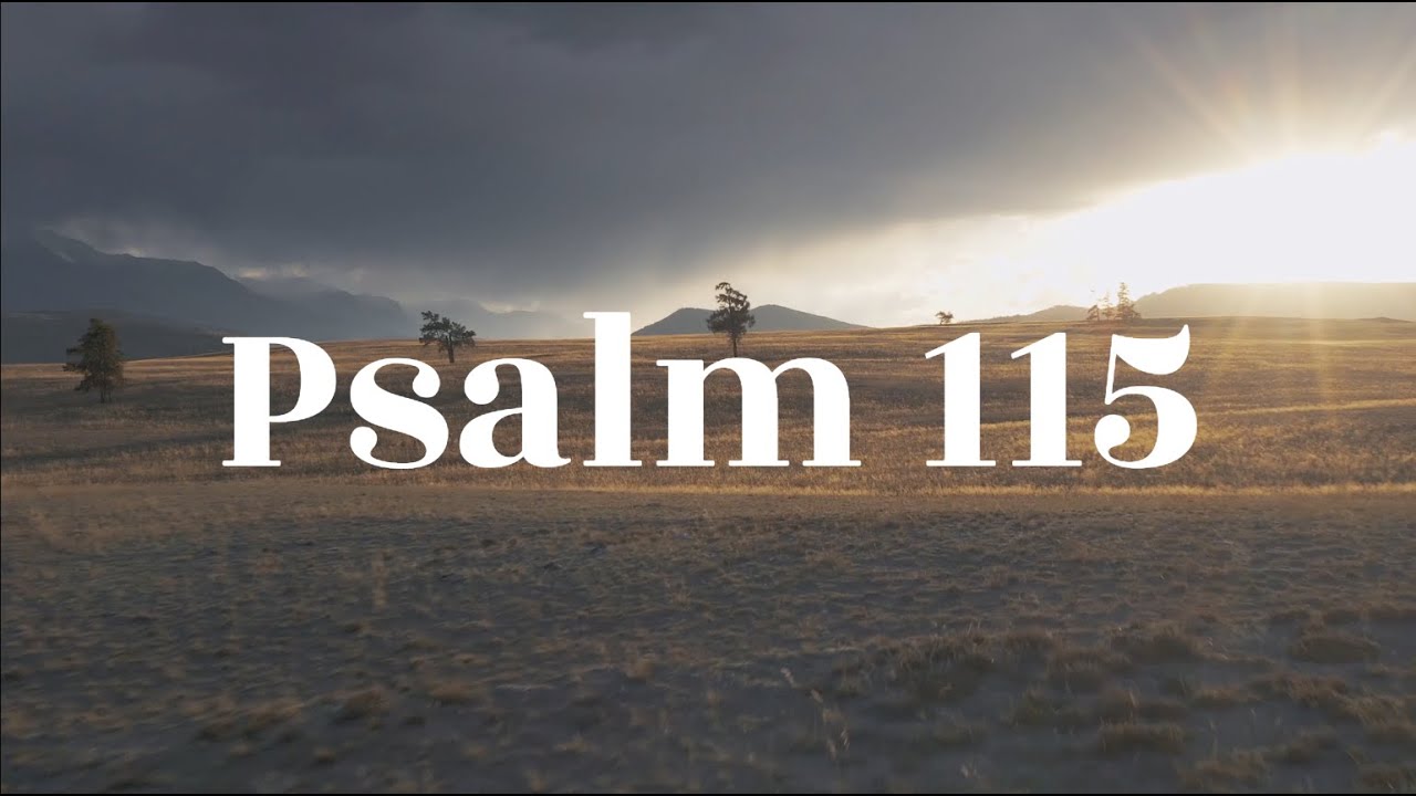 Psalm 115 | Official Lyric Video | Joel Howard - YouTube
