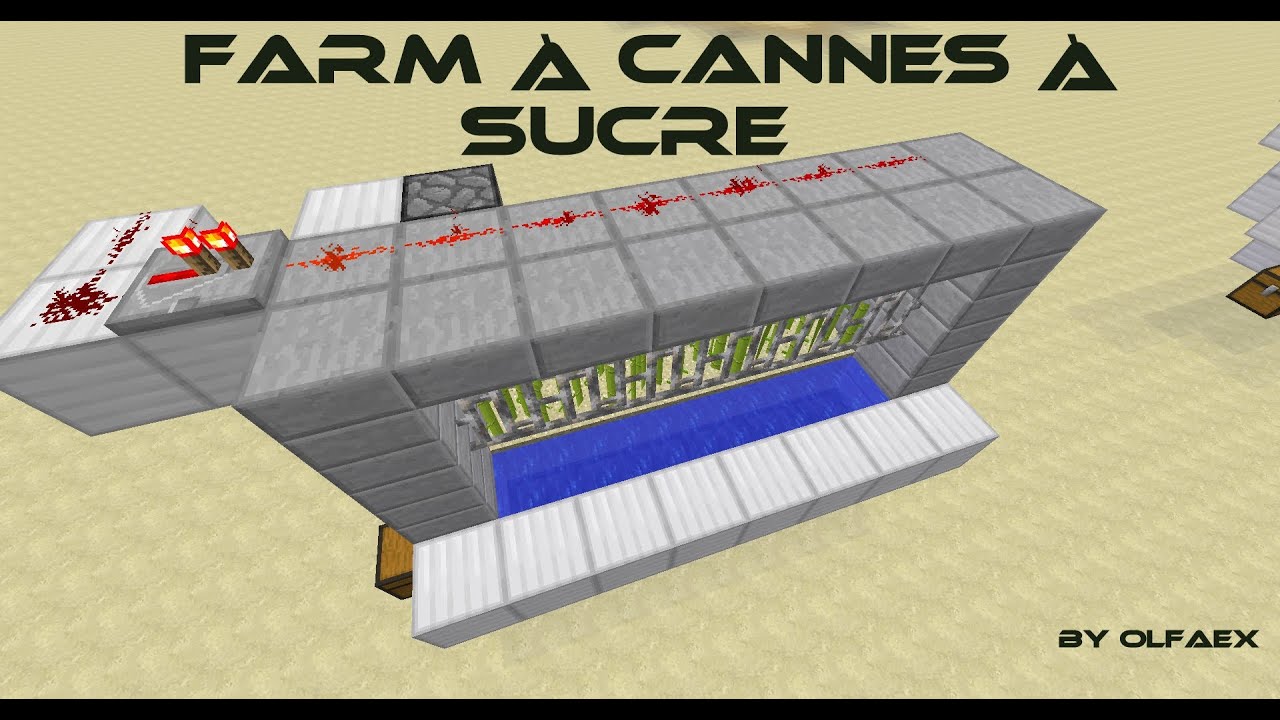 Farm à cannes à sucre [1.7.2/1.7.3/1.7.4] (Sugar canes farm [1.7.2/1.7. ...