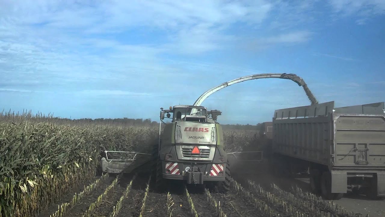 980 claas chopping corn - YouTube