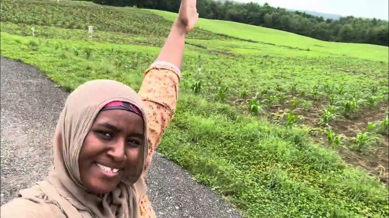 Unbelievable Experience! 🌾| Exploring the Countryside | Sincerely Shamsa - YouTube