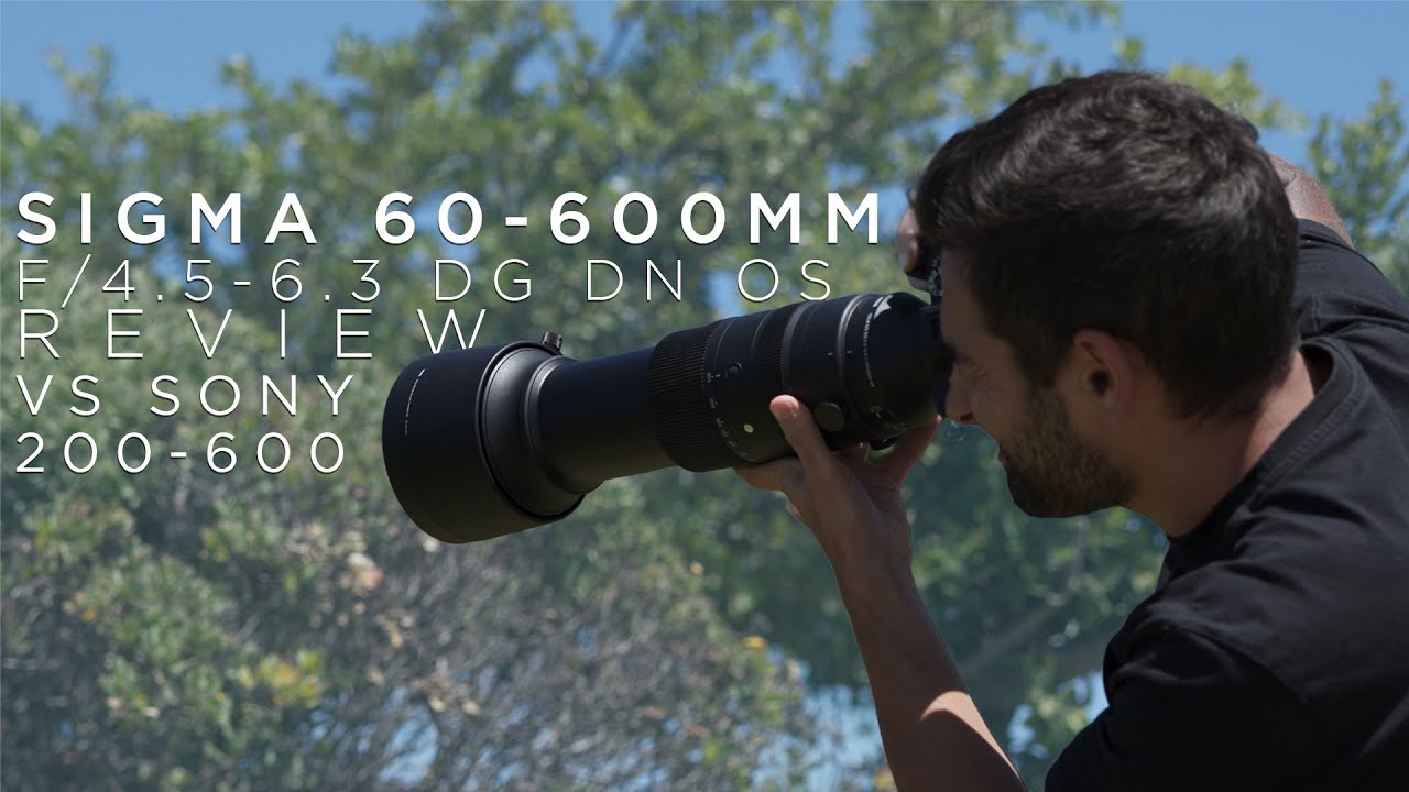 Sigma 60-600mm f/4.5-6.3 Review vs Sony 200-600mm - YouTube