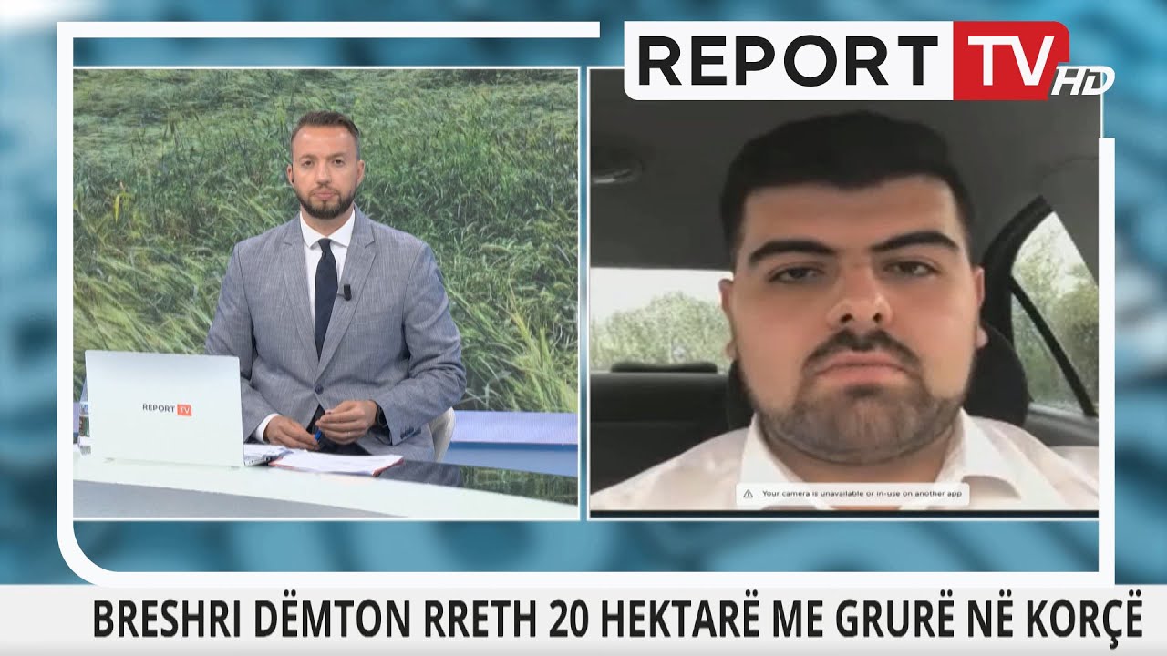 Report TV -Breshëri dëmton rreth 20 hektarë me grurë në Korçë! Fermerët ...