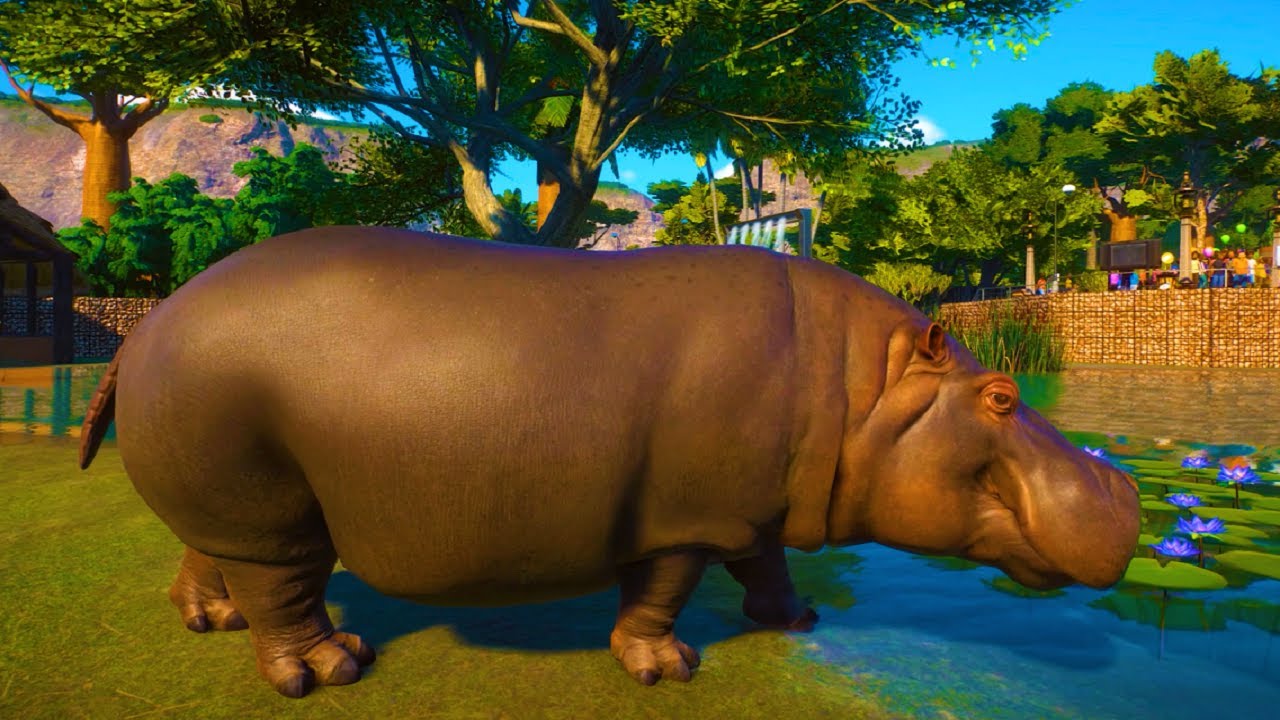 Farm Animal 4K - Hippopotamus, Antelope, Fox, Wolf, Bear, Lion - Animal ...