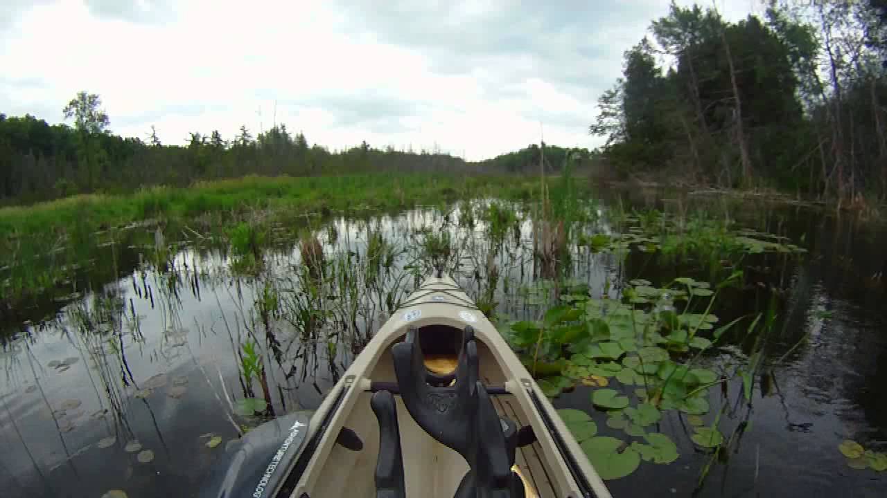 Kayak Frog Fishing - YouTube
