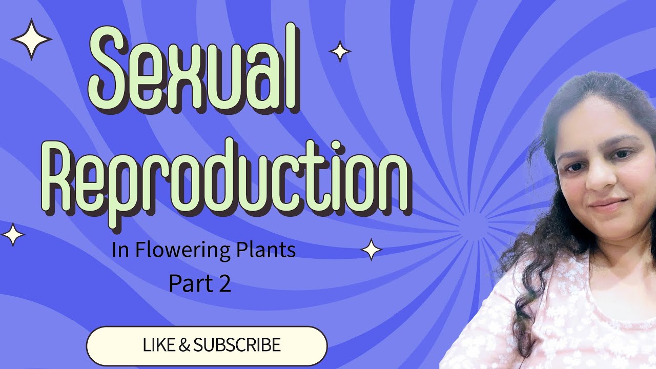 Sexual Reproduction in Flowering plants Part 2 - YouTube