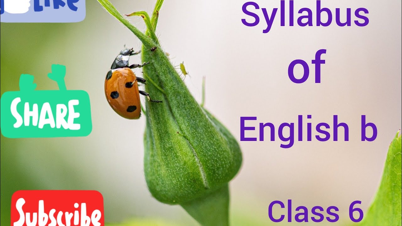 Syllabus Of English B Class 6th chathi Jamat Ka Angrezi Ka Syllabus