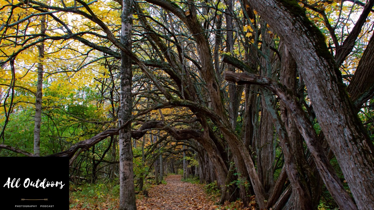 Episode 21: Mindful Hiking & Photography with Beth Melton - YouTube
