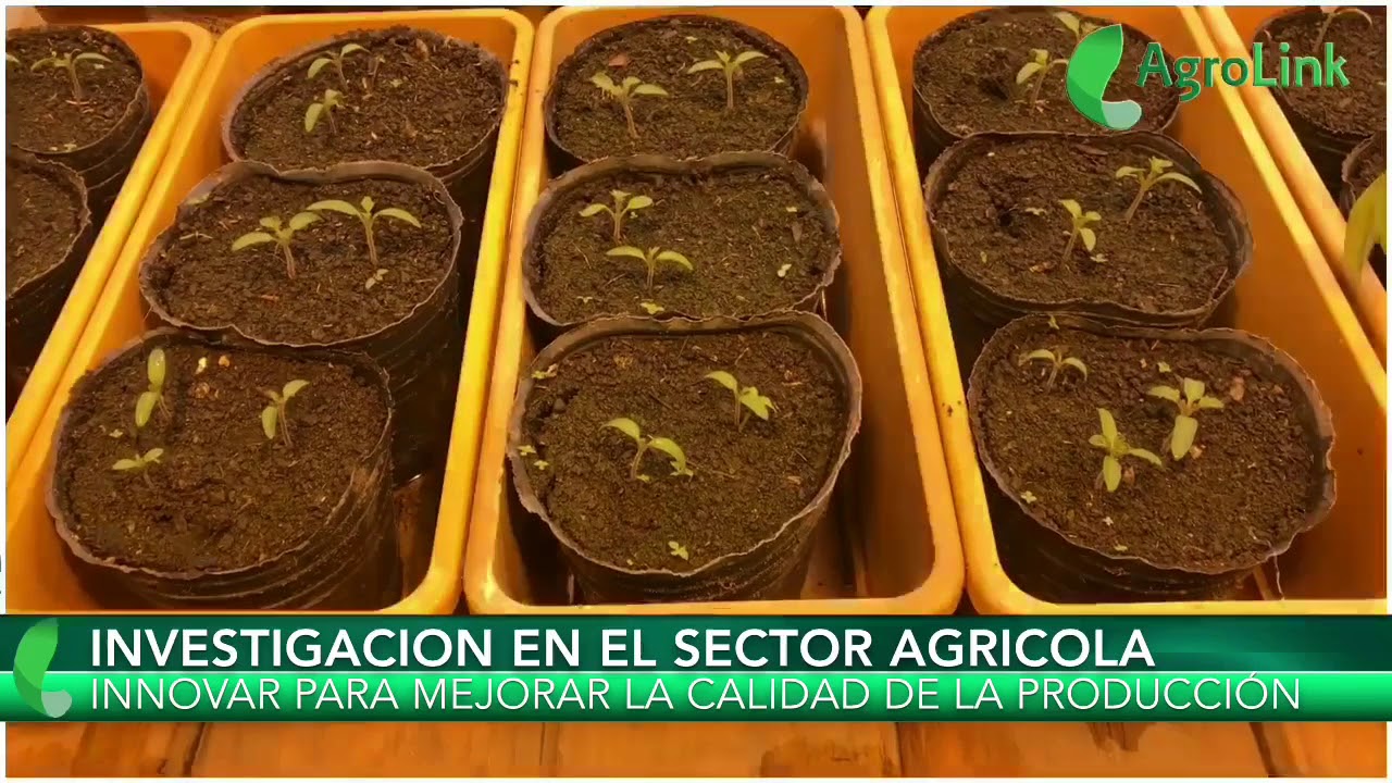 Pablo Tomatis - DOCTOR EN CIENCIAS BIOLOGICAS - CONICET - YouTube