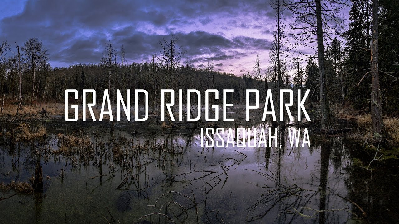 Grand Ridge Park Swamp - Issaquah, WA - Autel Robotics X-Star Premium ...