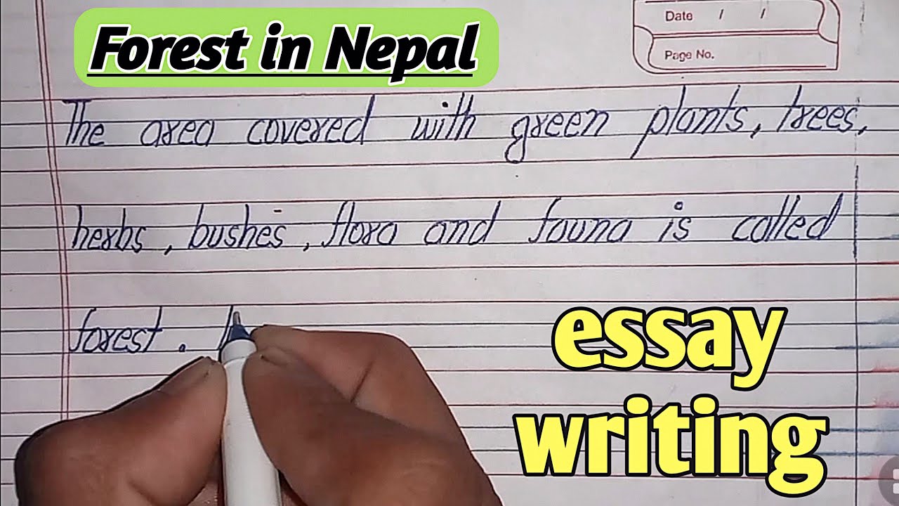 essay on The Forest in Nepal || the forest of nepal || forest of nepal ...